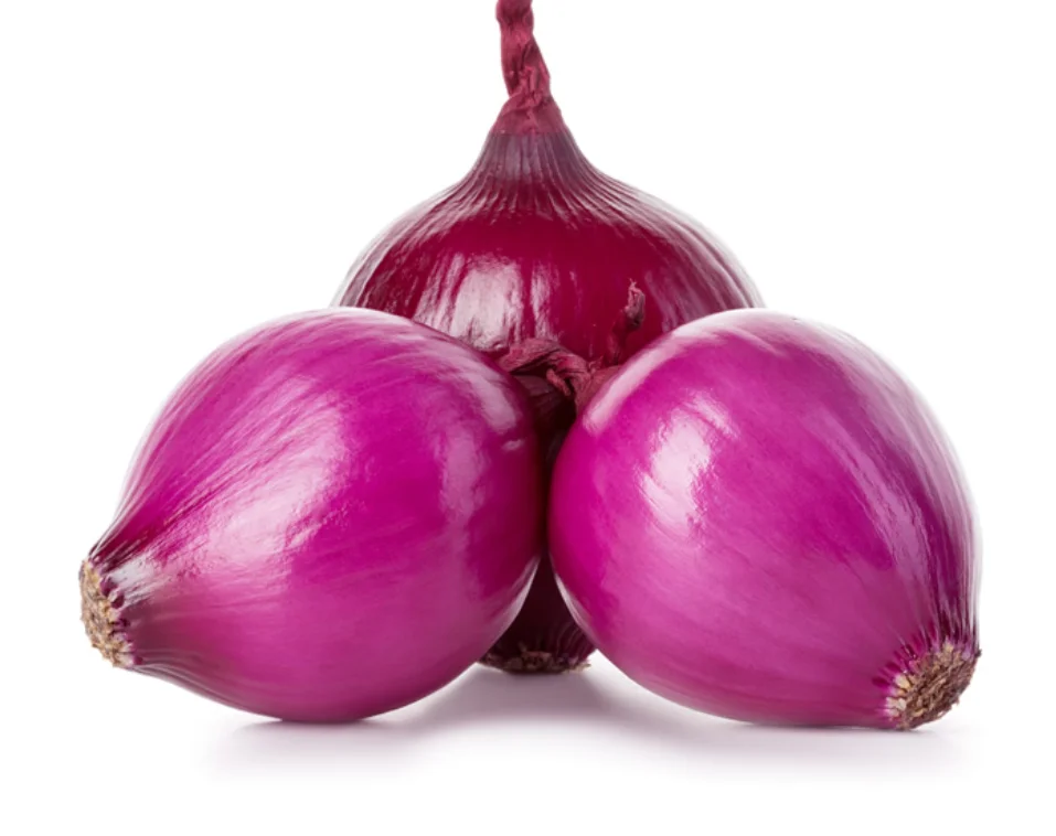 Fresh Red Onion Fresh Vegetables Onion Wholesale Red Onion With Good ...