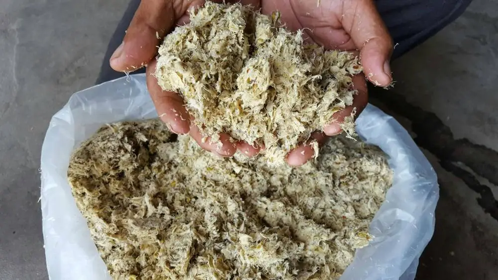 Pineapple Residue Silage - Buy Silage For Animal Herbs Tea Black Dried ...