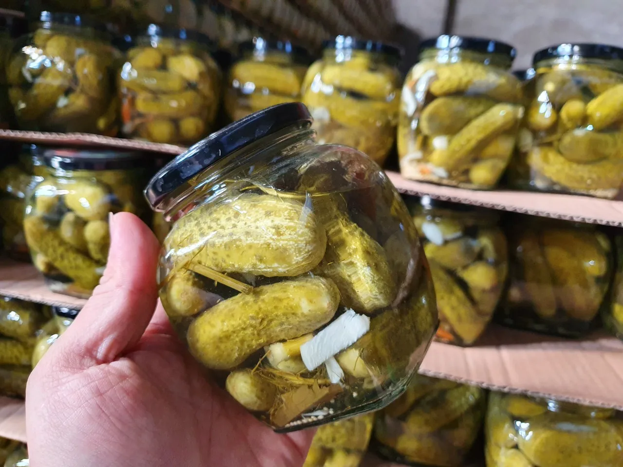 Pickled Cucumber High Quality At Best Price/ (ms. Jennie) - Buy Pickle ...