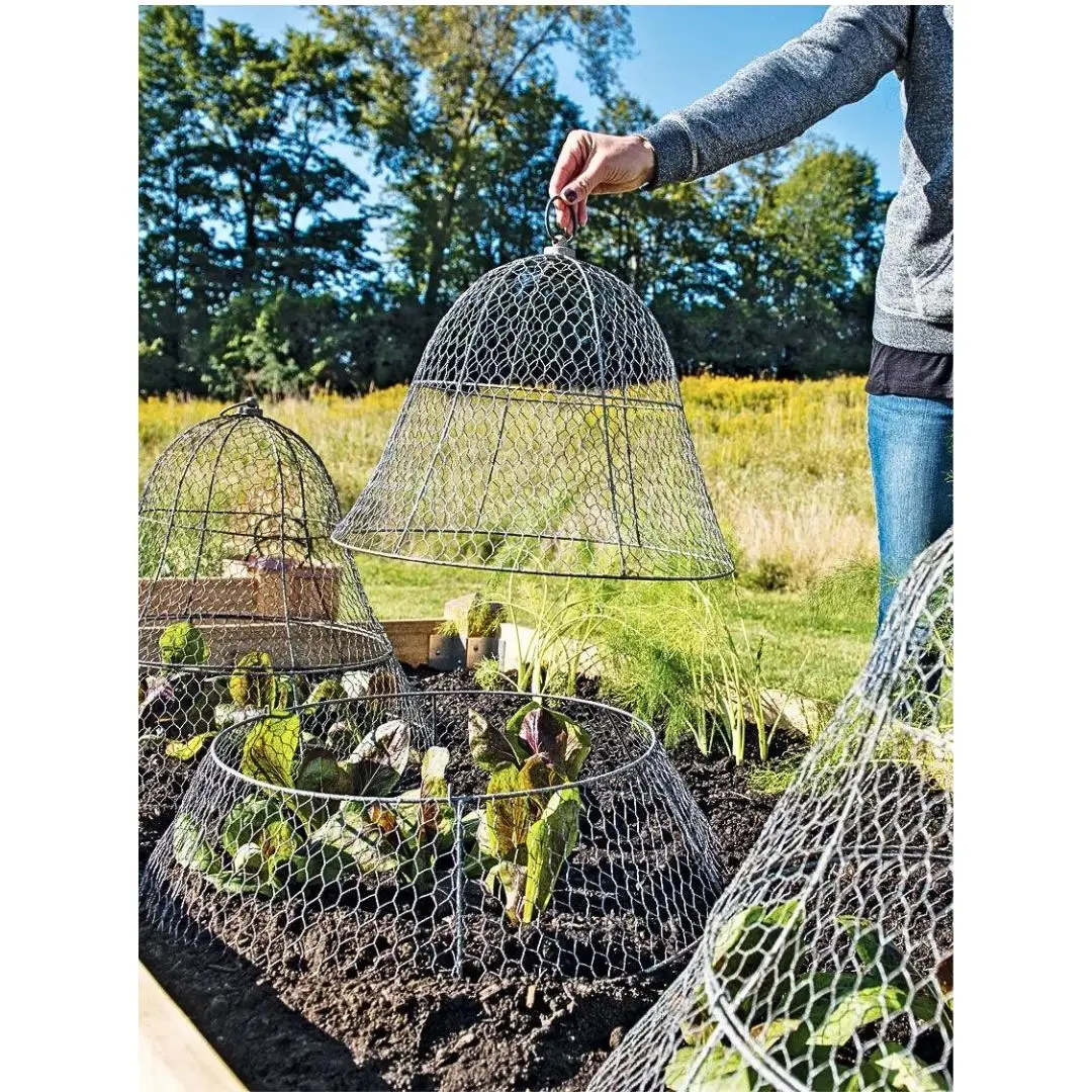 Wire Garden Cloche Waterproof Metal Modern Extension for Pest Control ...