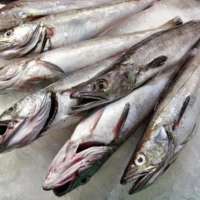 200-500g 500-1500g Hake Fish Whole Frozen Hake - Buy 200-500g 500-1500g ...