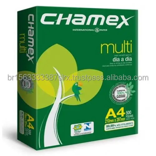 Chamex A4 Copy Paper - 80 GSM, 500 Sheets Per Ream, Ideal for Office ...