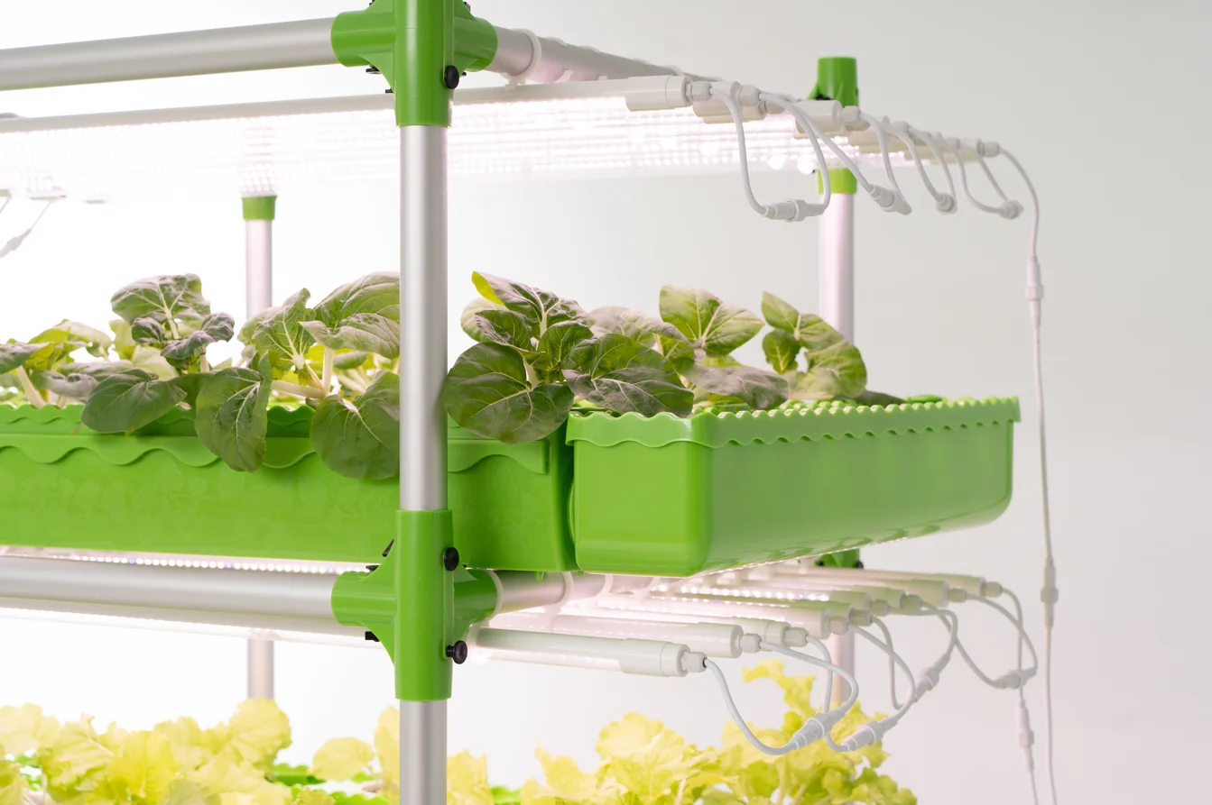 Aquaponic Fish Farming Rotary Filter System Large Family Set - Indoor ...