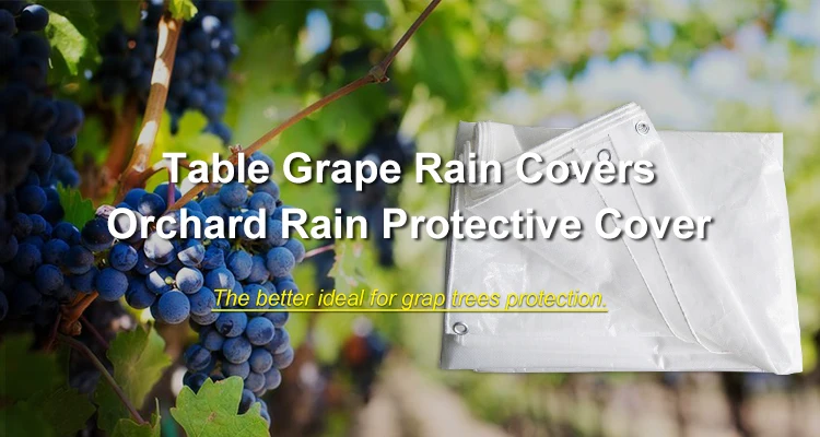 Farm Orchard Rain Protection Cover Plastic Orchard/Grape/Cherry Cover ...