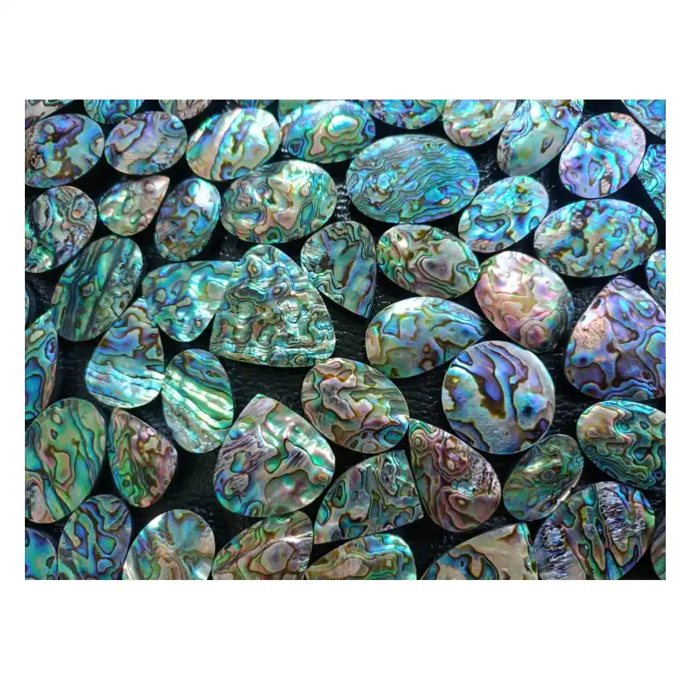High Quality Abalone Shell Gemstone Best Quality Natural Abalone Shell ...