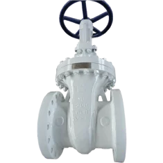 Forged Globe Valve Size 1'' Sw Ends Carbon Steel Flow Regulation Block ...