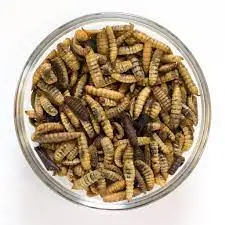 Well Clean Dried Black Soldier Fly Grubs Larvae Organic Nutritious Pet ...