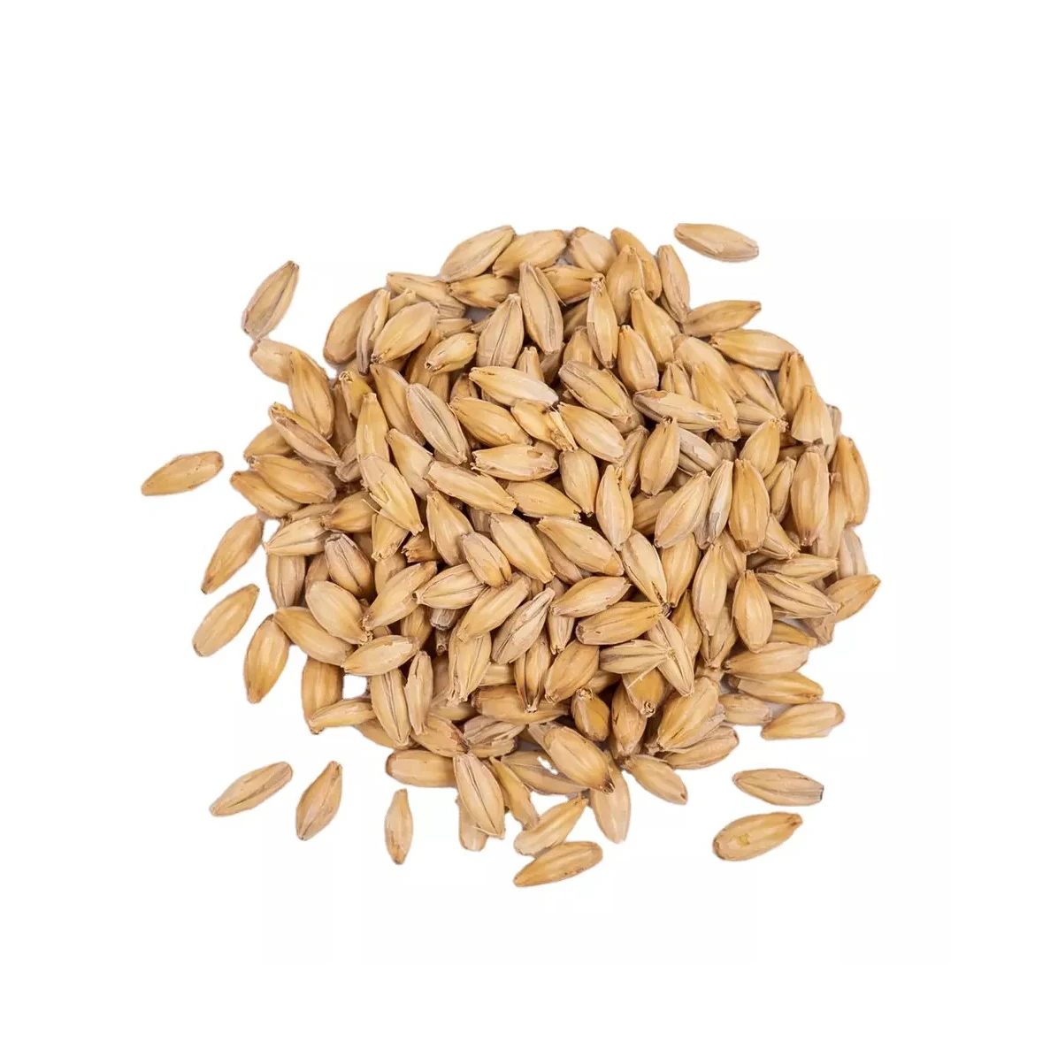 Wholesale Natural Organic First Grade Feed Barley Wholesale Natural ...
