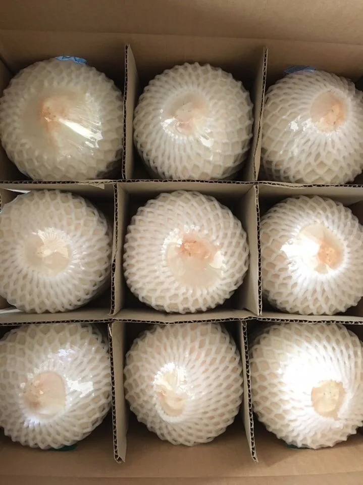 Fresh Young Coconut - Easy Open Private Brand Product