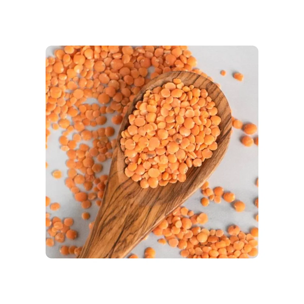 Red Lentils Competitive Red Lentils Prices In India High Quality ...