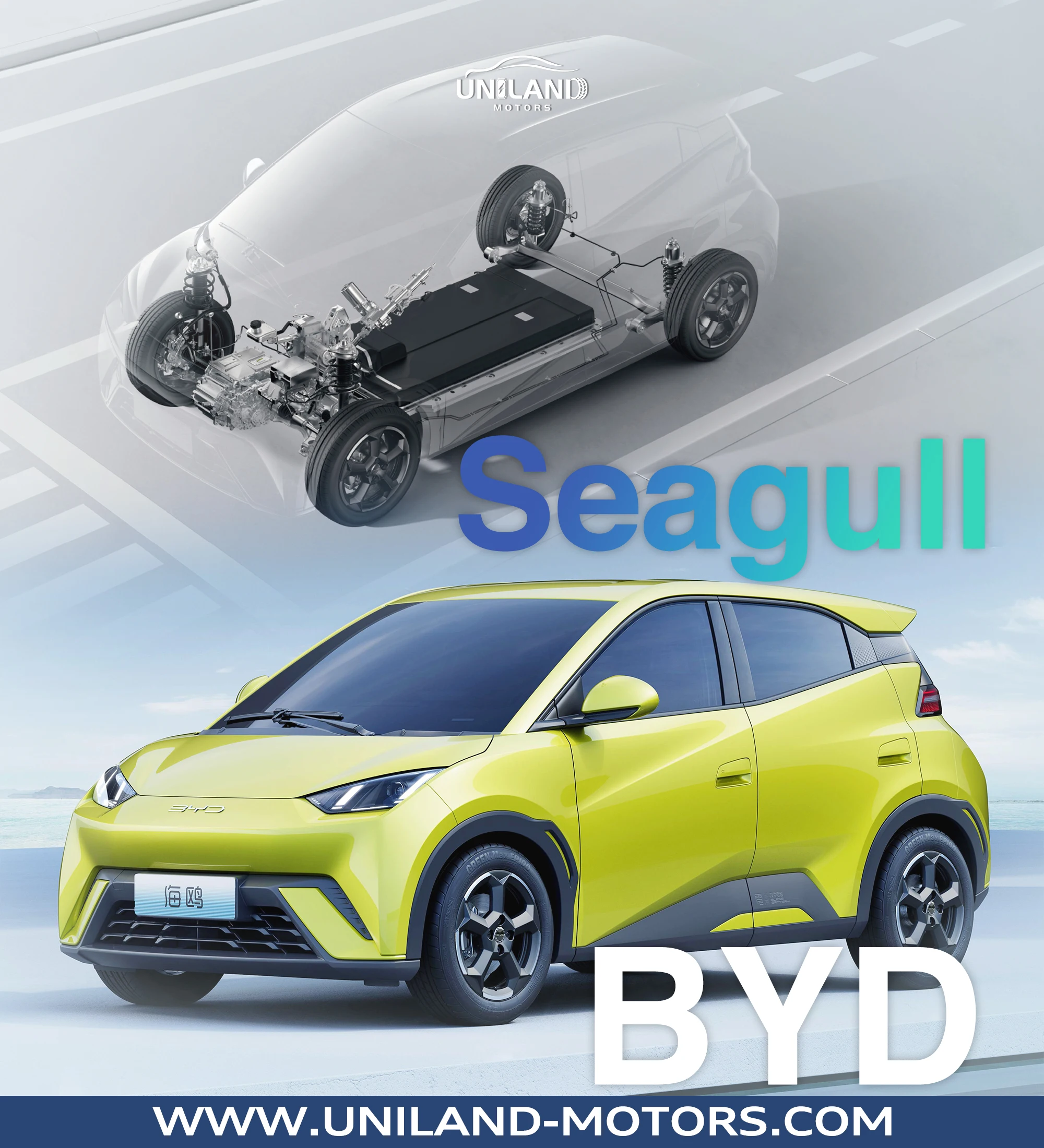 BYD Seagull 2023 - 5 Seat Electric Vehicle with 30.08kwh Battery