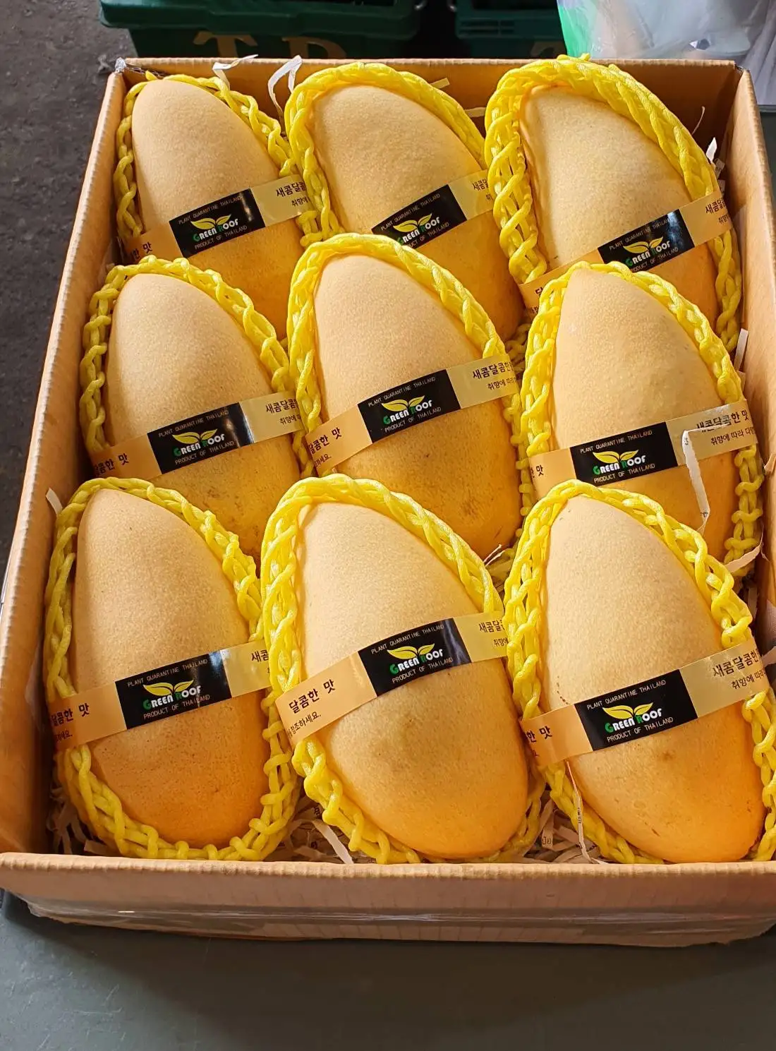 Fresh Mangos Fruit Premium Grade From Thailand. Nam Dok Mai Mango - Buy ...