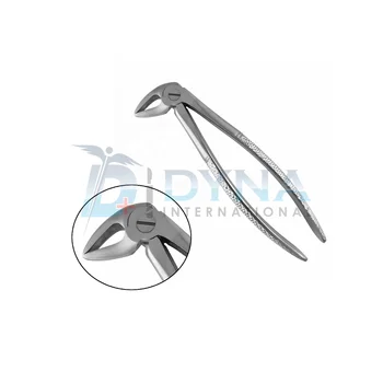 Stainless Steel Extraction Forceps #33 Lower Root Anterior High Quality ...
