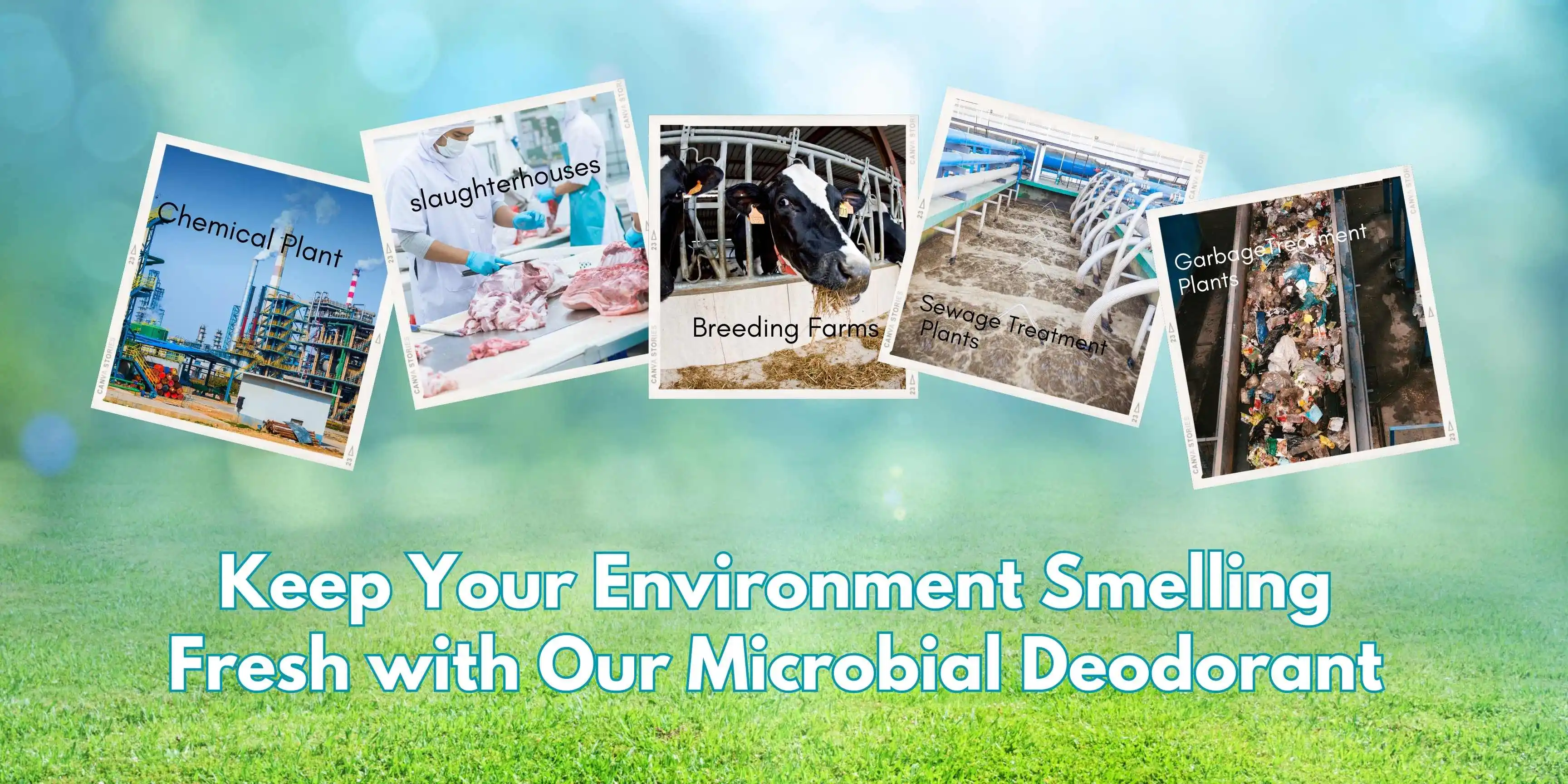 Air Cleaner Odor Remove Chemicals Deodorant for Pig Farm| Alibaba.com