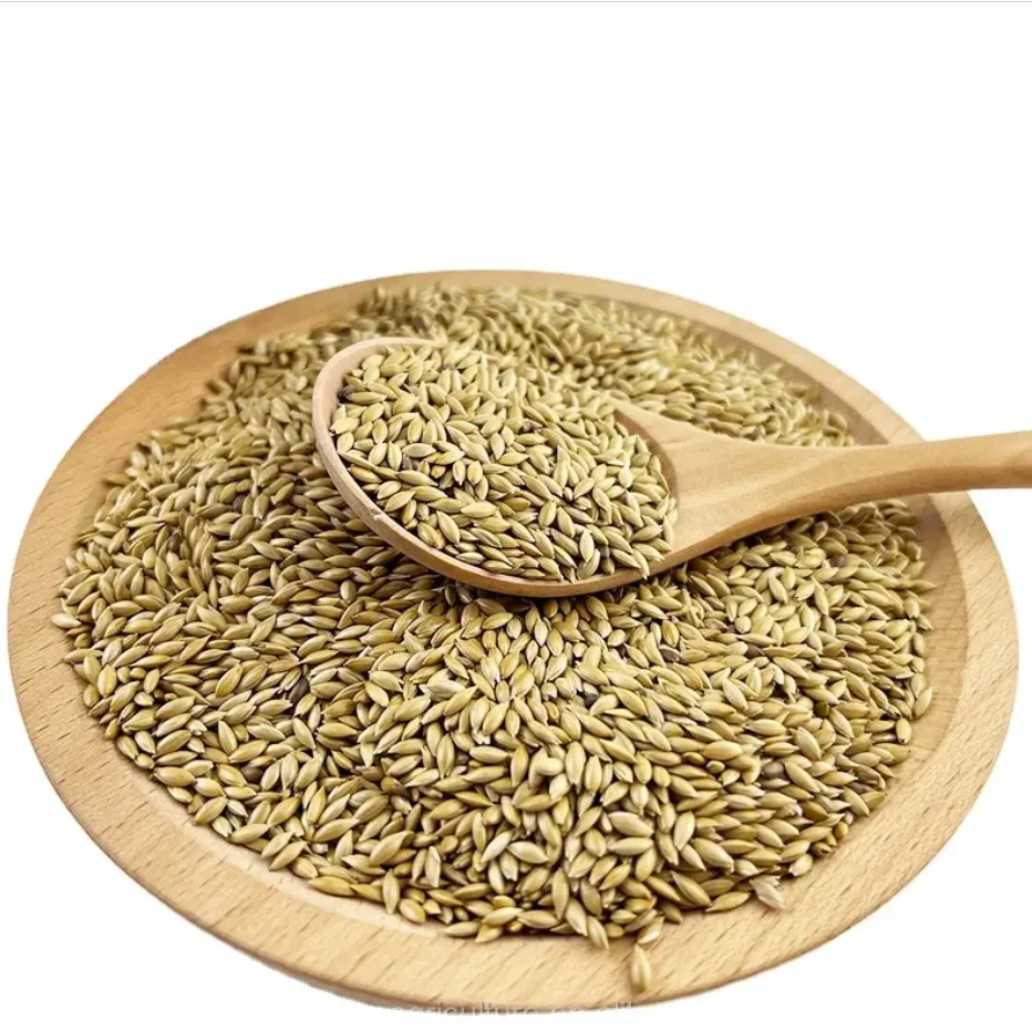 Factory Supply Canary Seed Canary Bird Seed Alpiste With Good Price ...