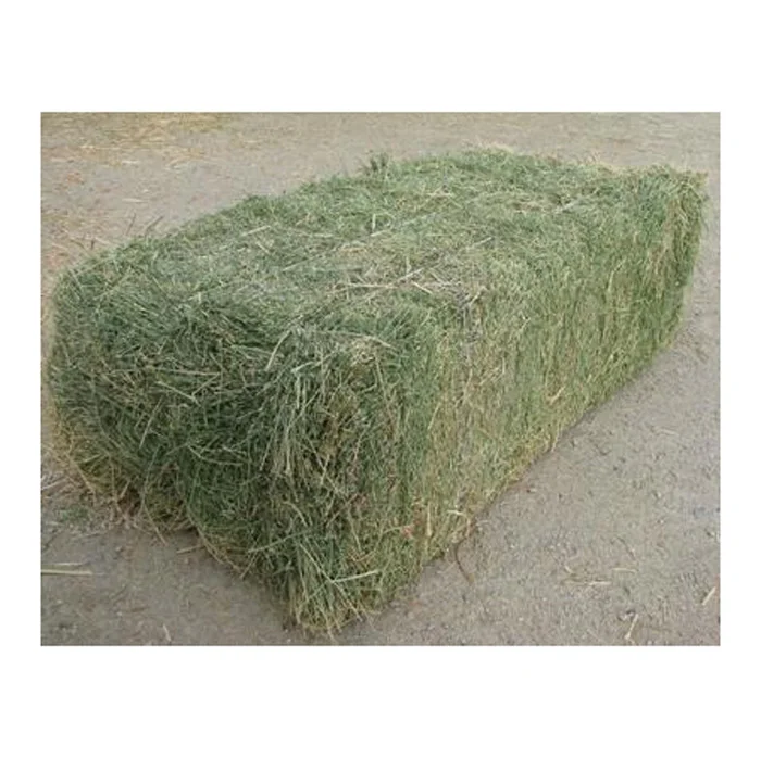 Alfafa Hay For Animal Feeding /alfalfa Hay Pellets /timothy Hay In ...