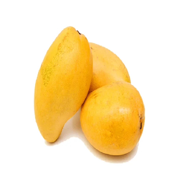 Fresh Mango Fruit - Buy Fresh Mango Fruit Mango Fresh Mangos Frozen ...
