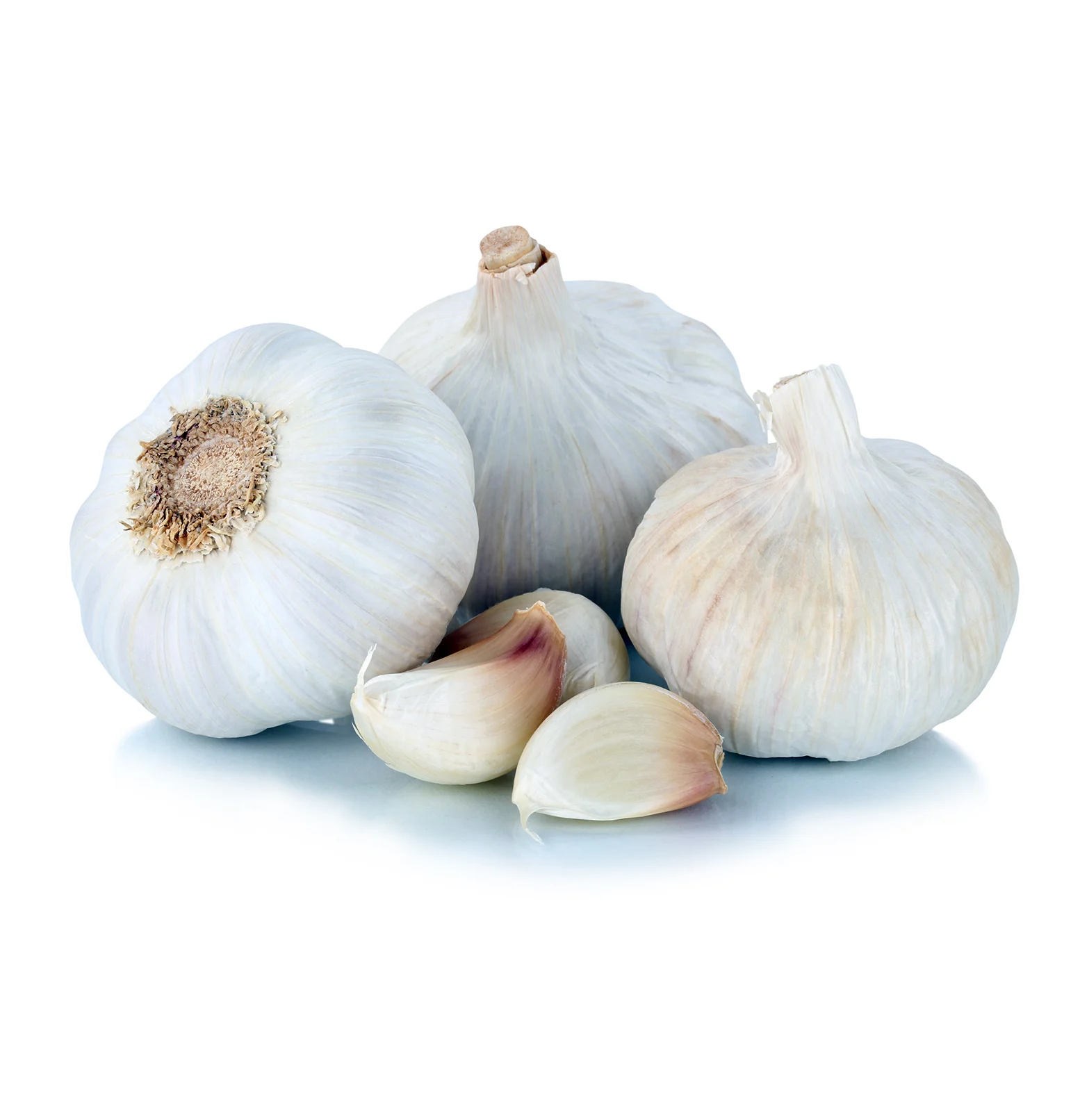 Fresh Natural Wholesale Fresh White Garlic Price Directly Supply From ...