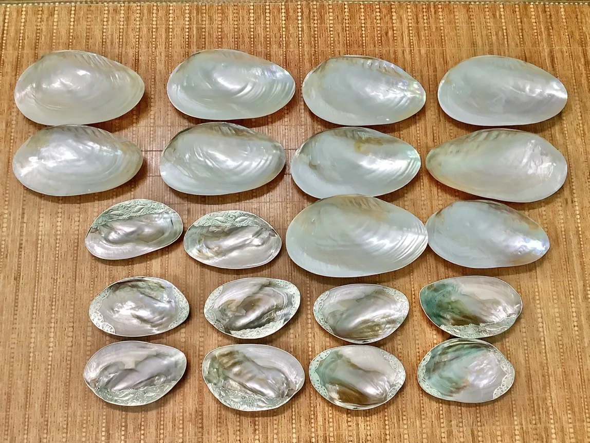 Mother of Pearl Plate Dishes Dinnerware Sets Seashell Caviar Conch ...