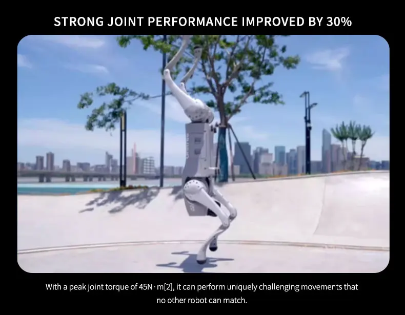 Unitree Go2 Pro - Intelligent Quadruped Robot for Adults