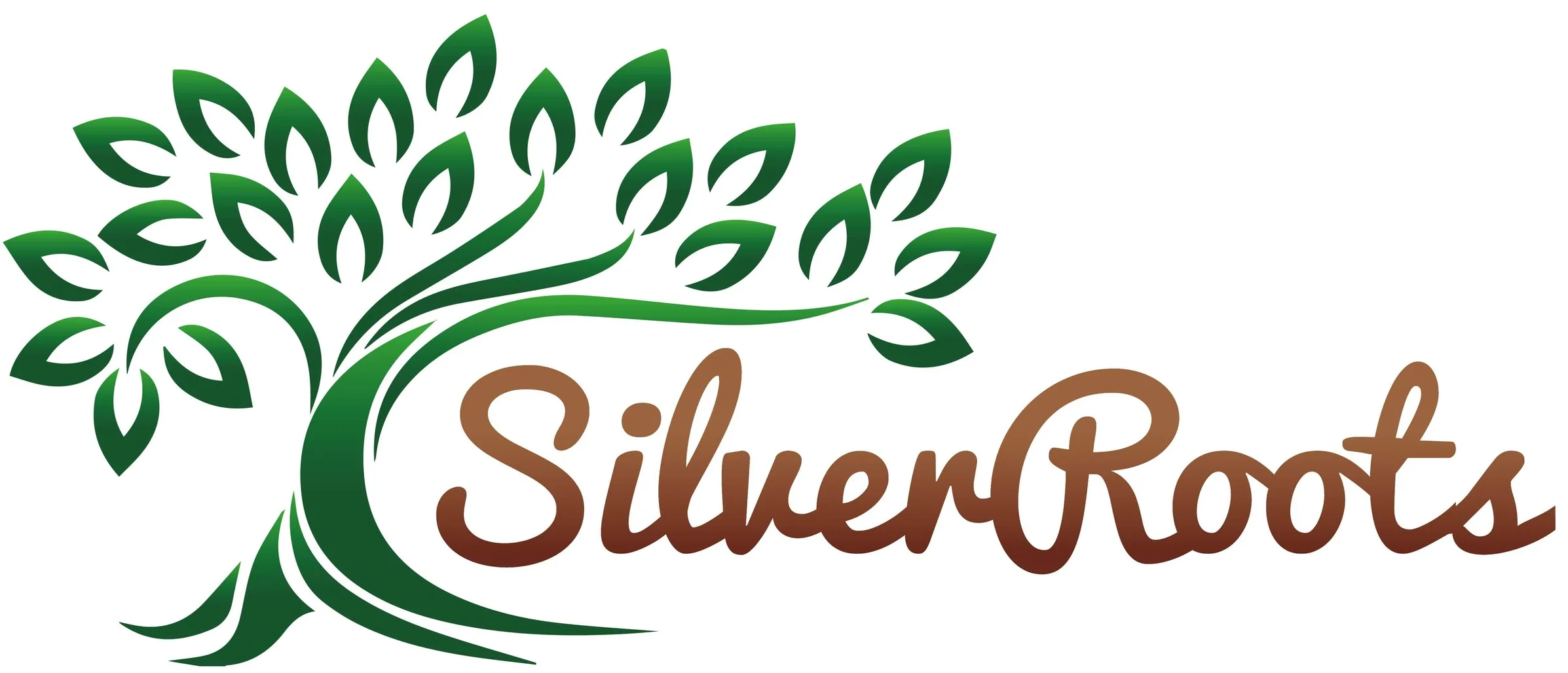 Company Overview - silver roots