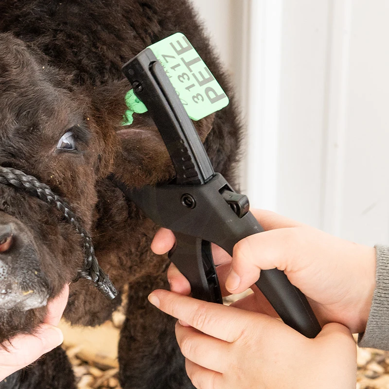 Ear Tag Applicator Large,C/steel. Veterinary Instruments - Buy Ear ...