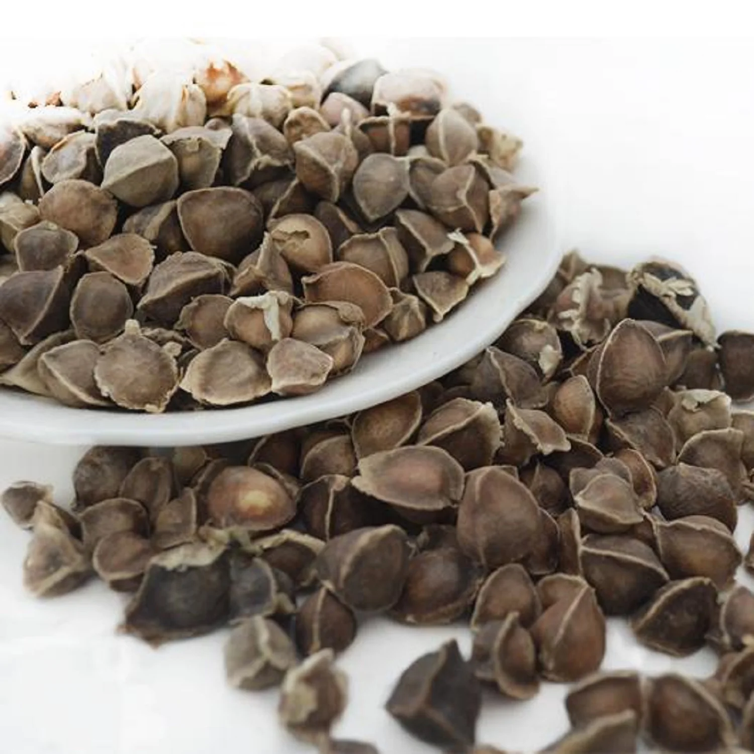 Premium Indian Herbs And Plants Moringa Moringa Oleifera- Seed Leaf ...