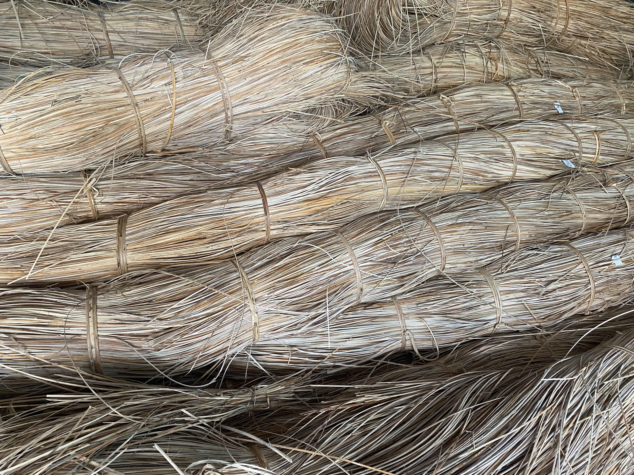 Vietnamese Raw Rattan Cane Natural Rattan Core Cheap Price for Export ...