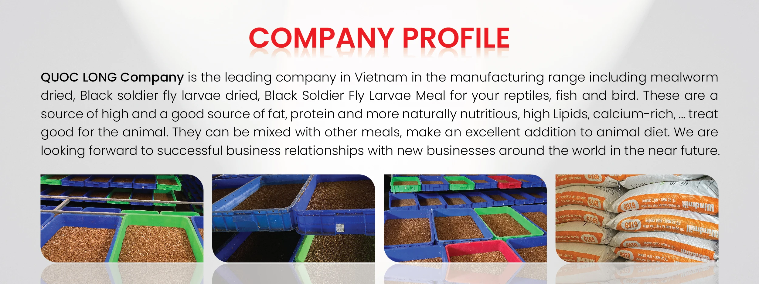 Dried Mealworms For Chickens Professional Team Export Animal Feed High ...