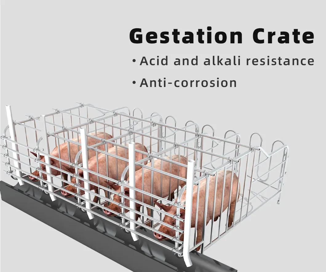 Gestation Crates For Pigs Sow Gestation Stall Sow Pregnancy Cage - Buy ...