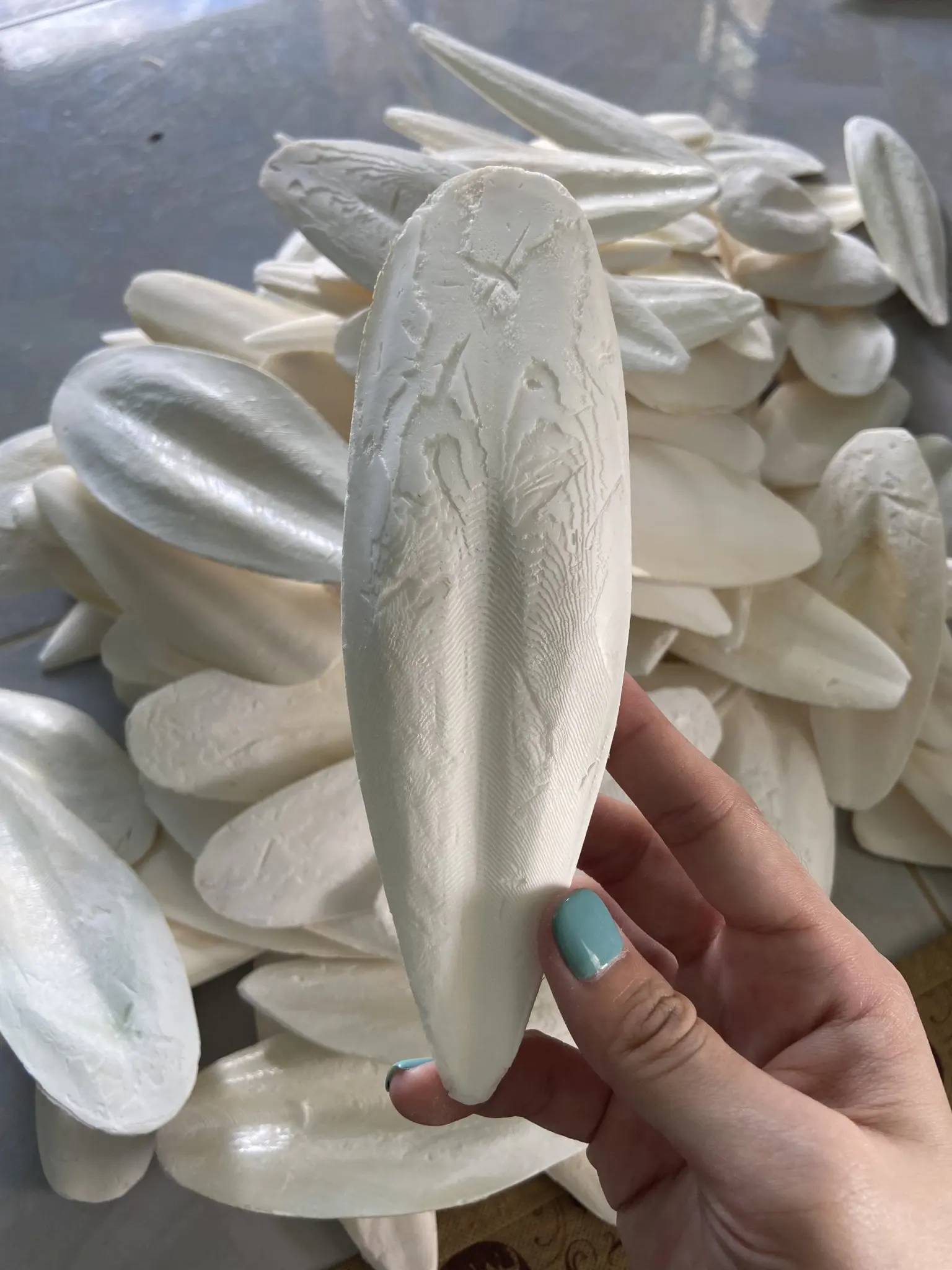 Pure Cuttlefish Bones Come From Vietnam - Buy Pure Cuttlefish Bones ...