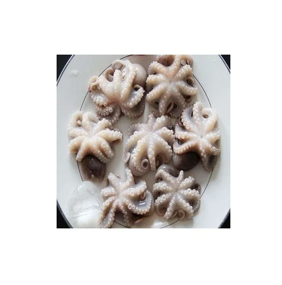 Frozen Seasoned Baby Octopus Octopus Fresh Frozen Baby Octopus For Sale ...