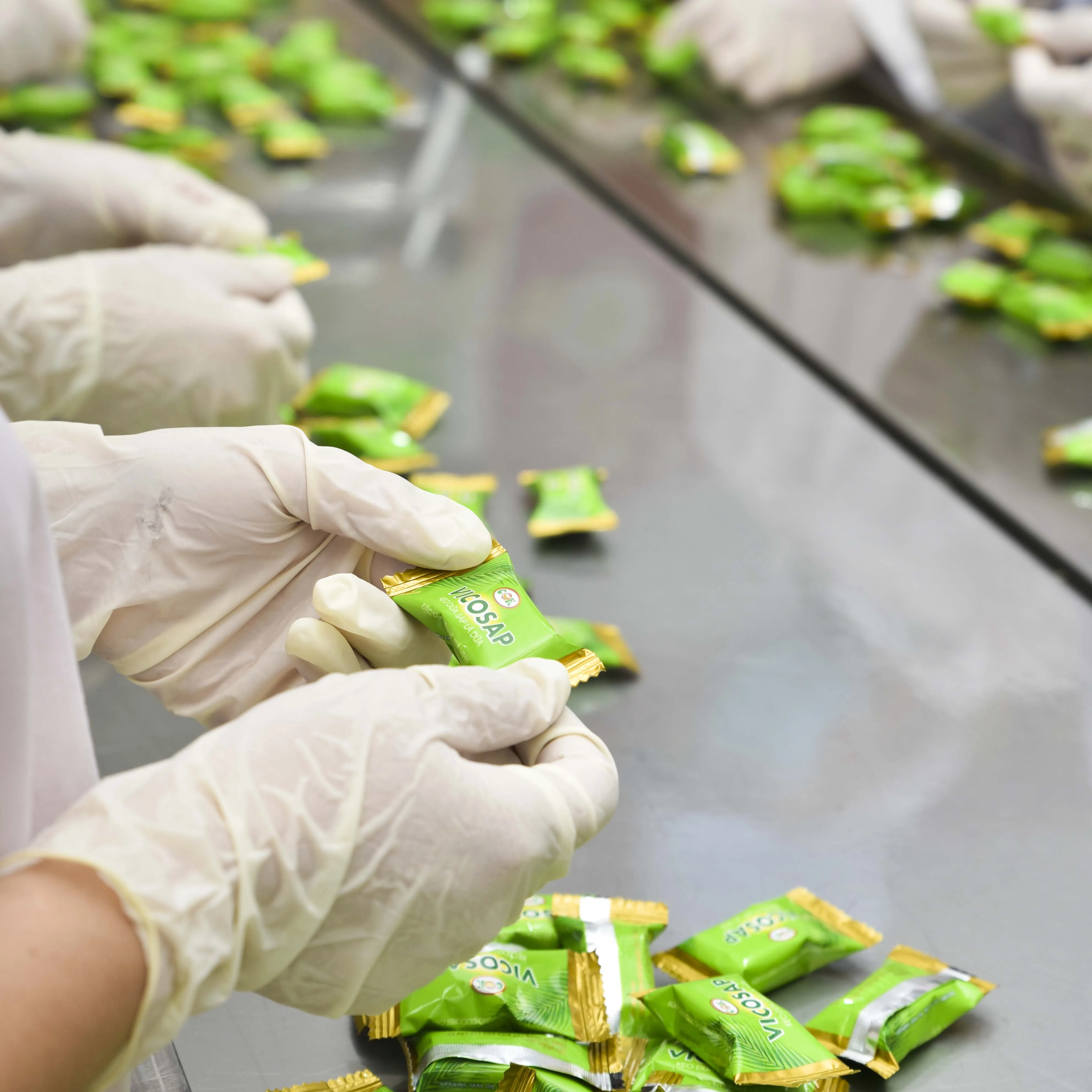 Company Overview - CAU KE MACAPUNO PROCESSING CO.,LTD