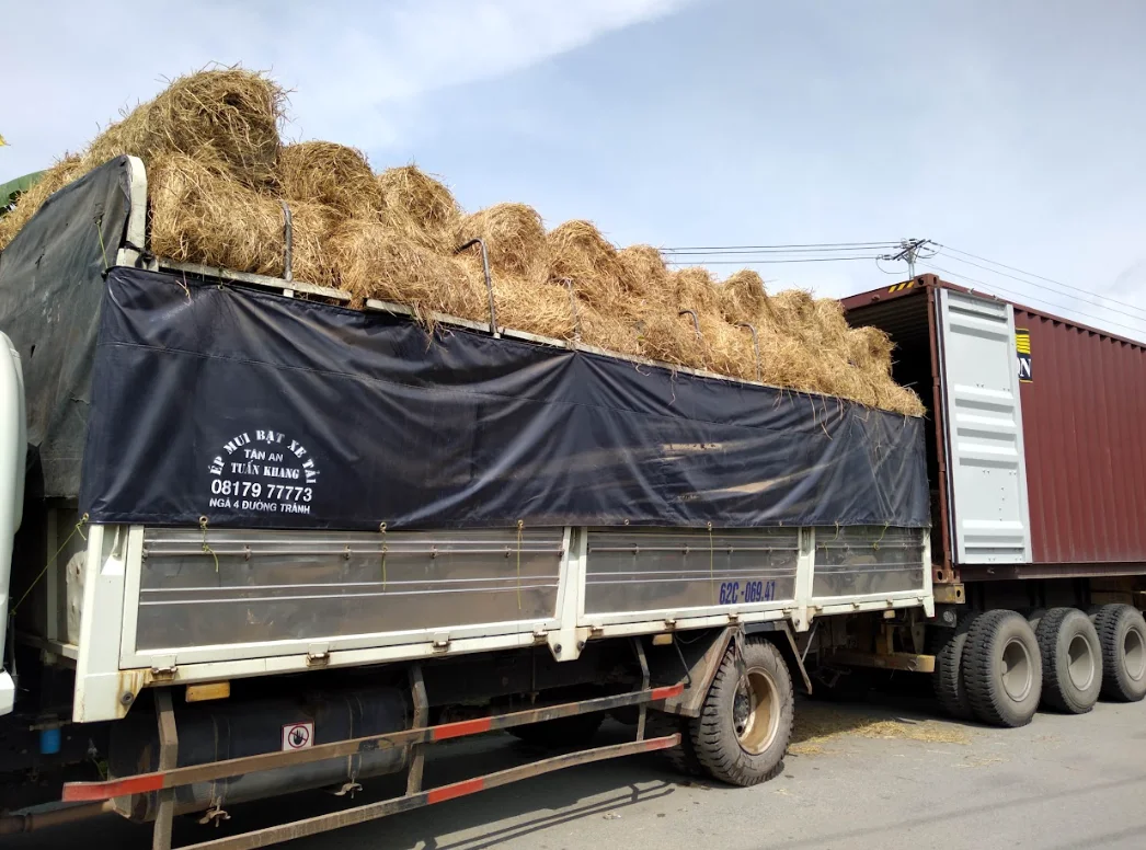 Wholesale Dried Raw Paddy Straw - Haverst Leftover Residue Paddy Rice ...