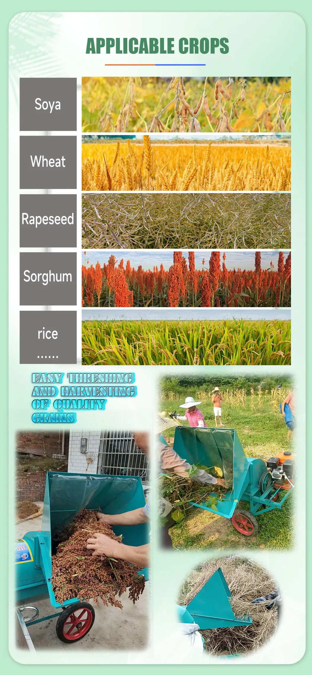 High Capacity Rice Thresher - 800-900kg/hour Efficiency