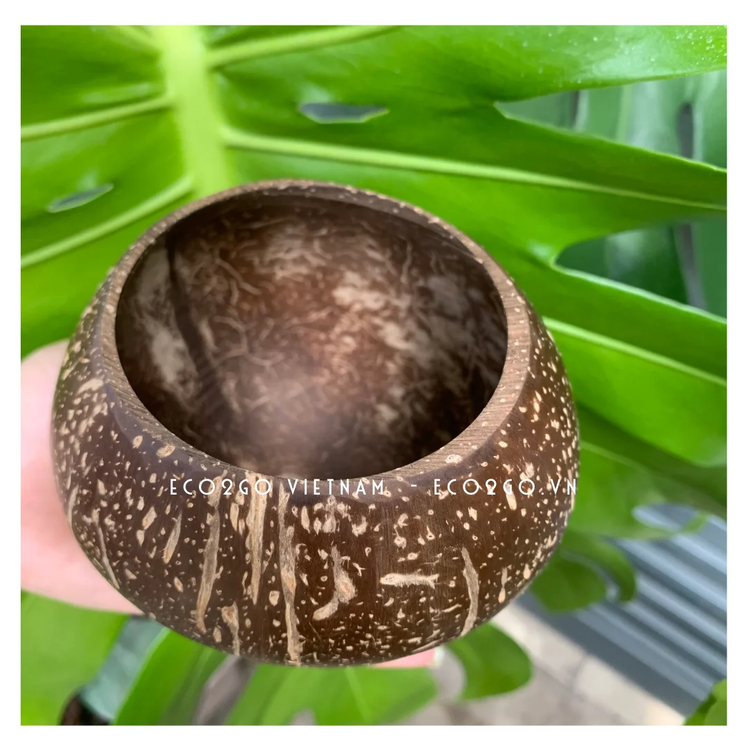 Hot Seller And Hot Trending Coconut Shell Cups/ Coconut Cup Drink With ...