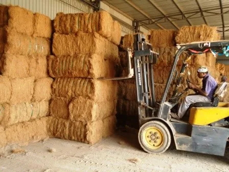 Coconut Fiber / Coconut Coir Fiber - Buy Coconut Fiber Coir Fiber From ...