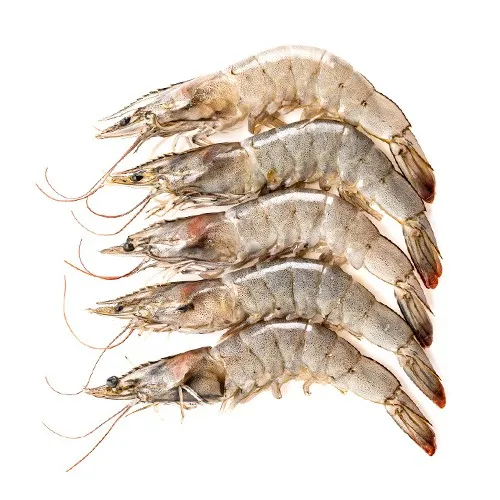 Frozen Black Tiger Shrimp Whole Shrimp - Buy Whole Skinless Shrimp ...