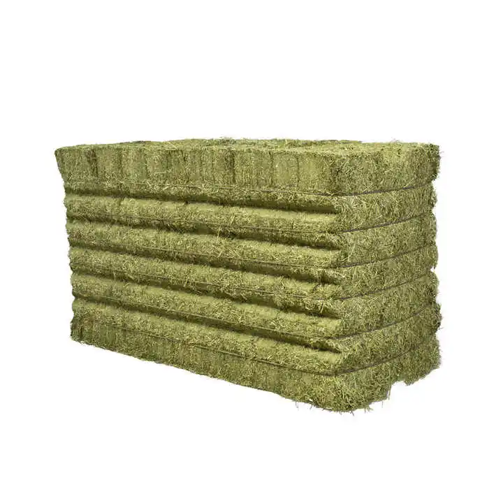 Premium Grade Alfalfa Hay Crop Fresh Alfalfa Hay Beans For Wholesome ...
