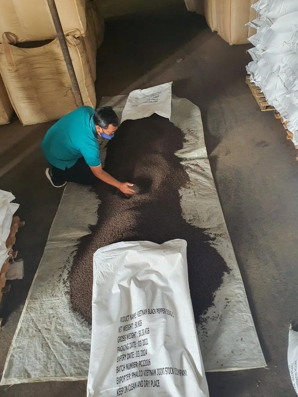 Vietnam Whole Black Pepper Processing Machine - Best Quality