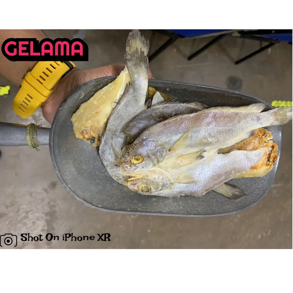 Dried Seafood Malaysia Dry Salted Fish Ikan Masin Gelama Salted Gelama ...
