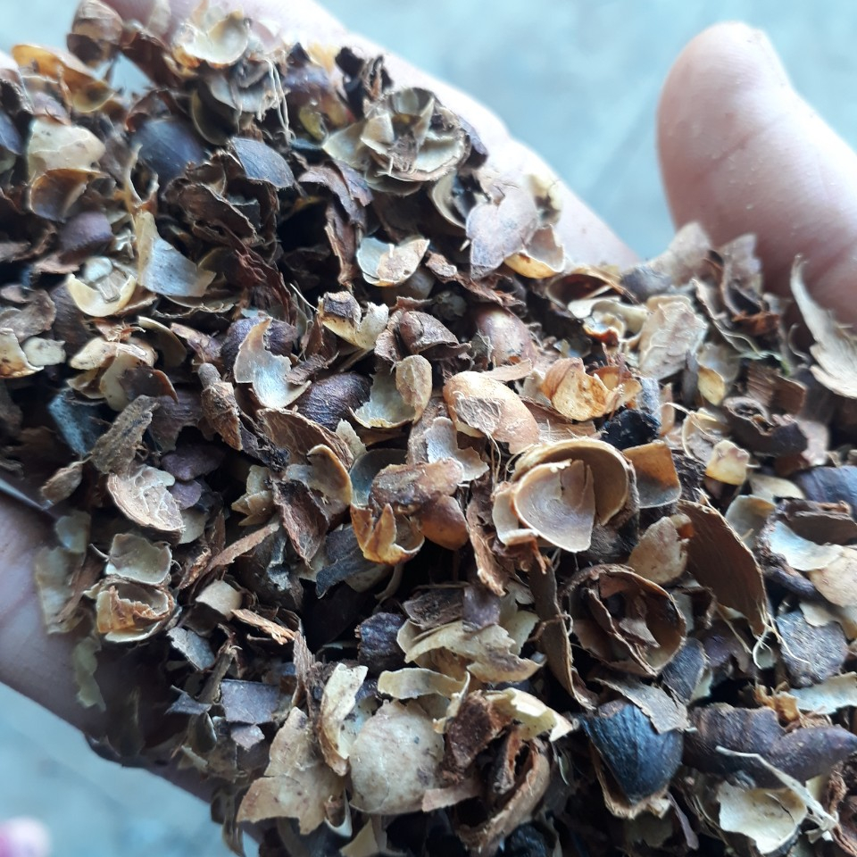 Coffee Husk - Organic Natural Source for Secarica Plant