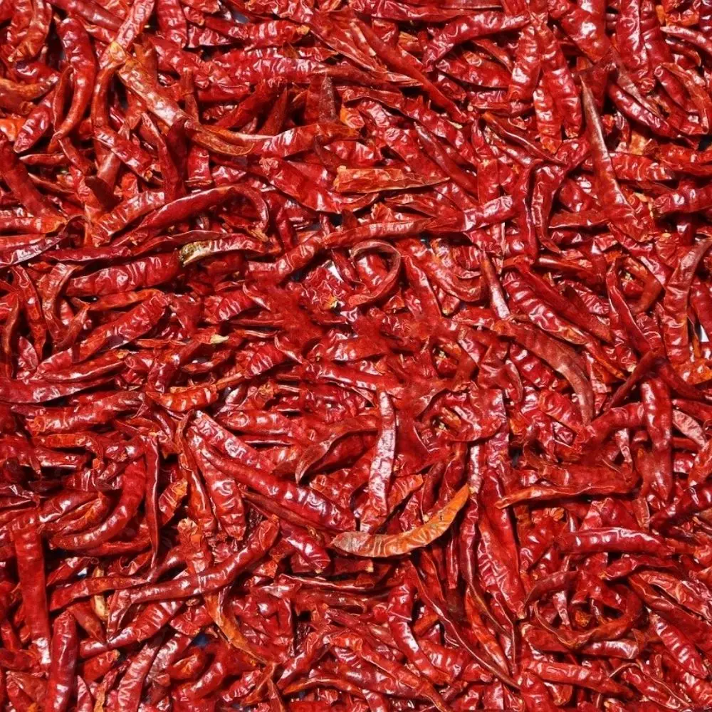 Super Spicy Dehydrated Whole Chilli Vietnamese Chilli Dried Style ...