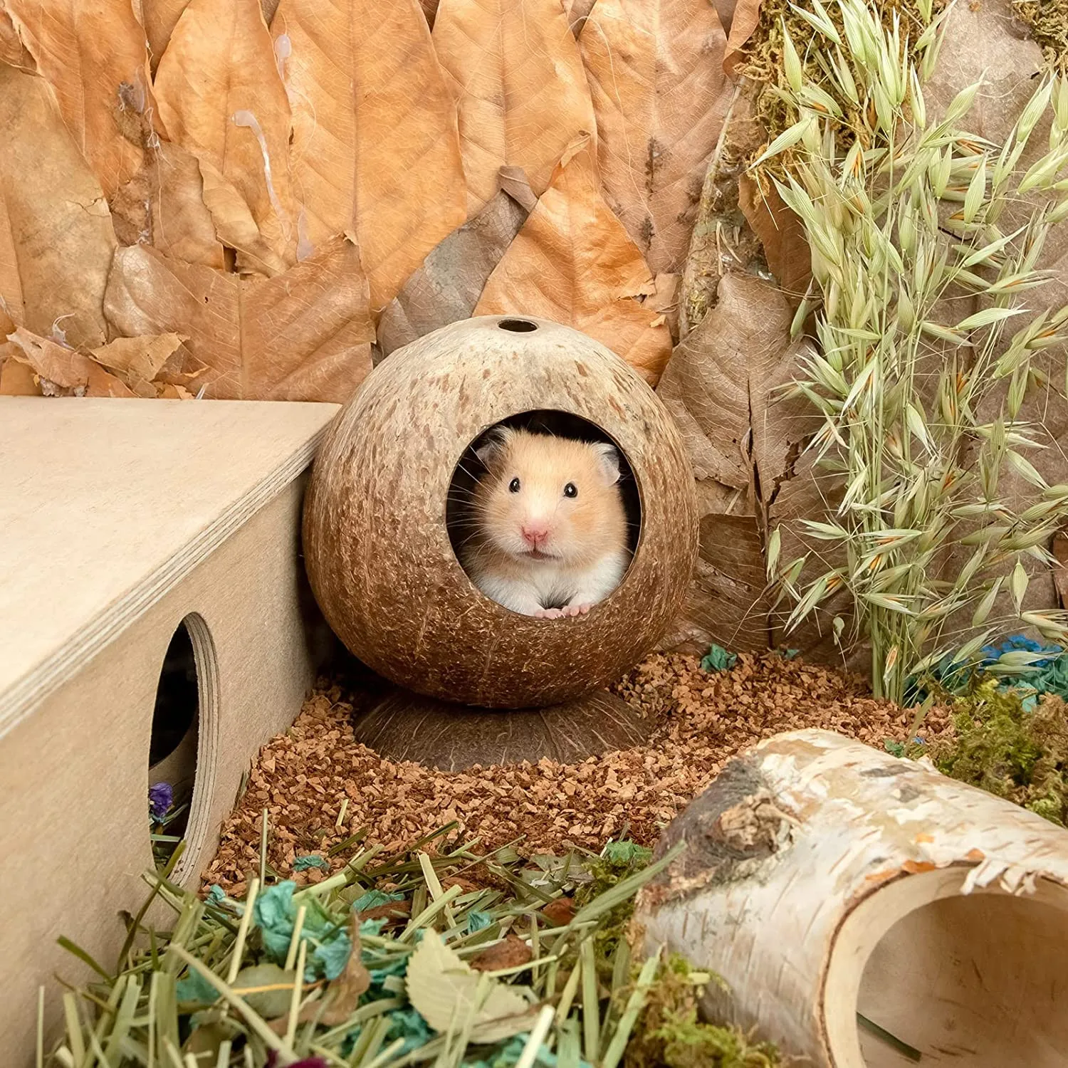 Natural Coconut Shell Hamster Nest - Sustainable & Durable