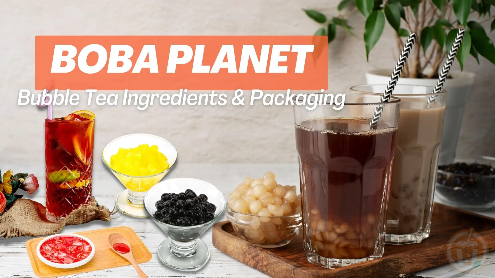 Coconut Jelly Bubble Tea - Sweet Topping from Taiwan