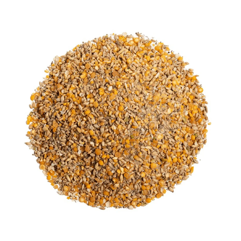 Farm Animals Automatic Plastic Chicken Feed Feeding Poultry Animal ...