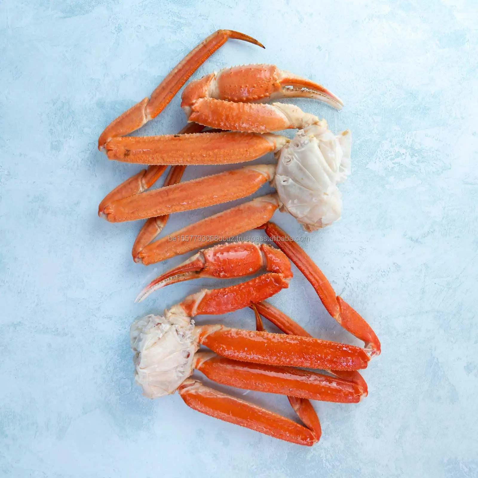 Snow Crab Antarctica / Deep Sea Crab/ Baby King Crab Discount Price ...