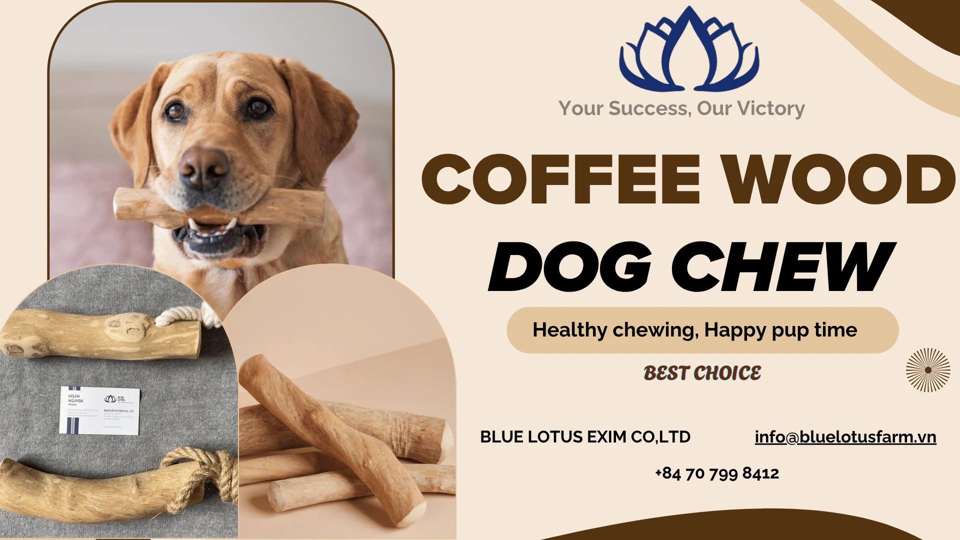 Vietnam Coffee Wood Chew: Eco-Friendly Dog Toys for Joyful Play ...