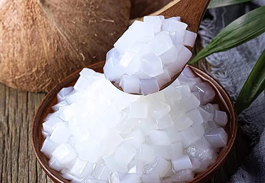 Heavenly Nata De Coco - Coconut Jelly Delight from Vietnam