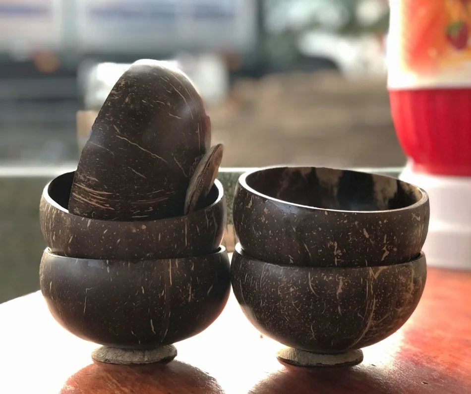 Vietnamese Coco Shell Bowl For Salad - High Quality Polished Shell Bowl ...